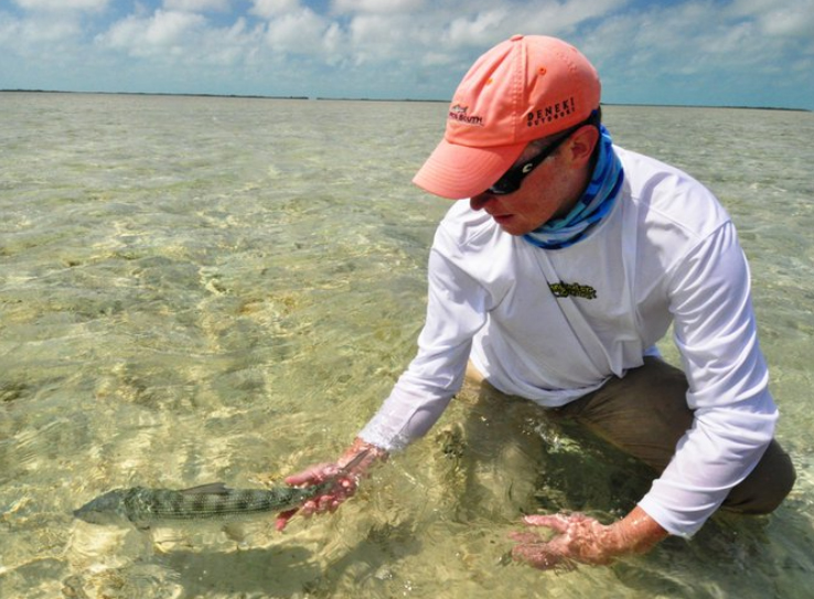 2011, a look back | Bonefish on the Brain